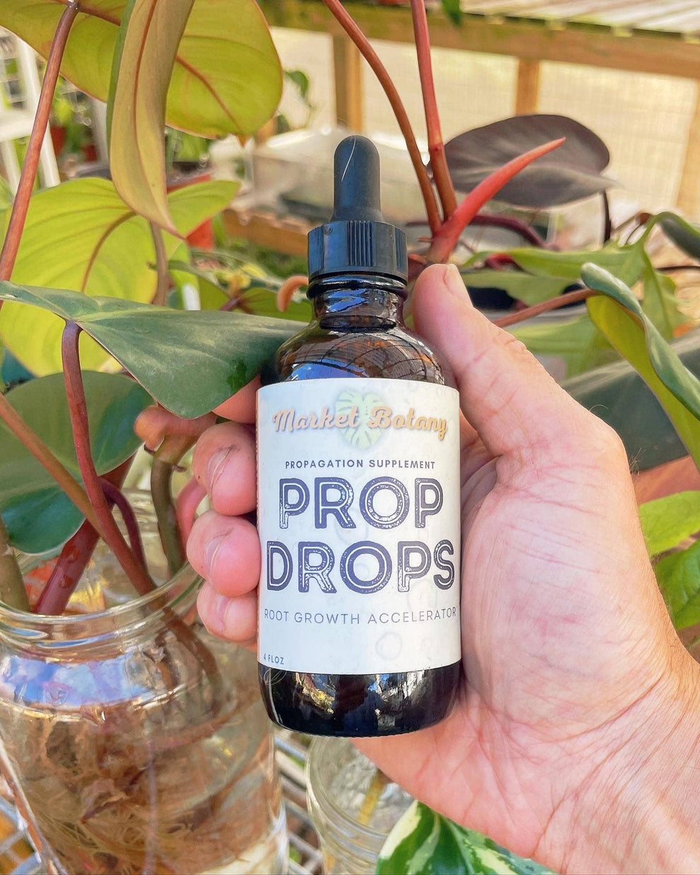 Prop Drops – Grows on Main
